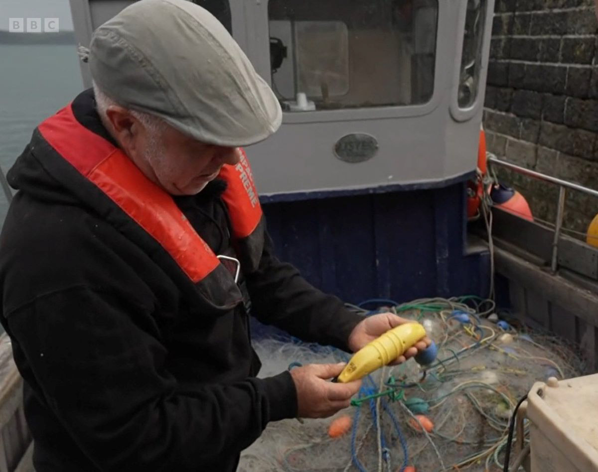 Industry questions claims in report on ‘true scale of bycatch ...