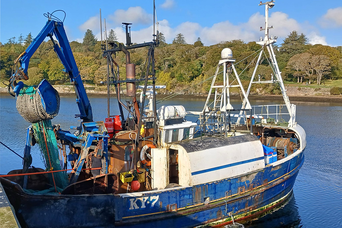 50 years plus: True Vine KY 7 - Fishing News
