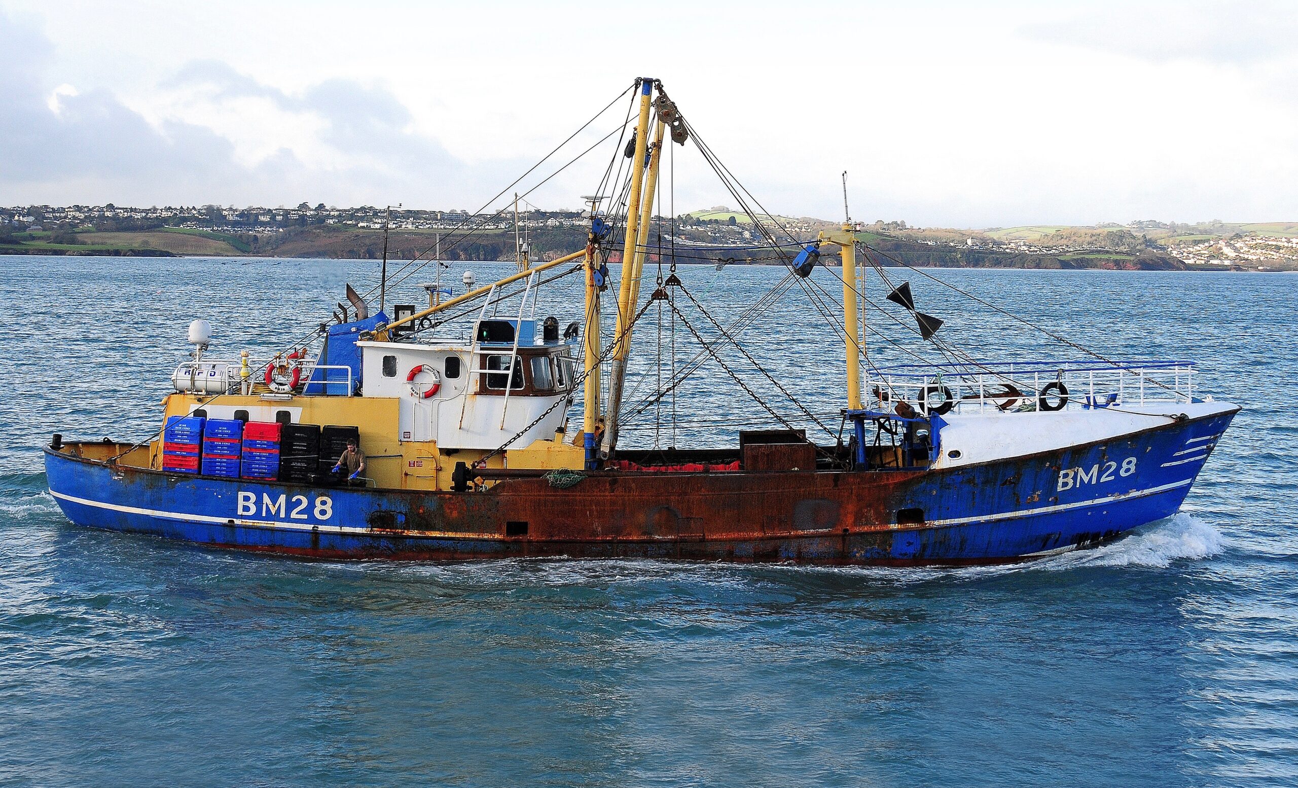 Boat of the Week – Emily Rose BM 28 - Fishing News