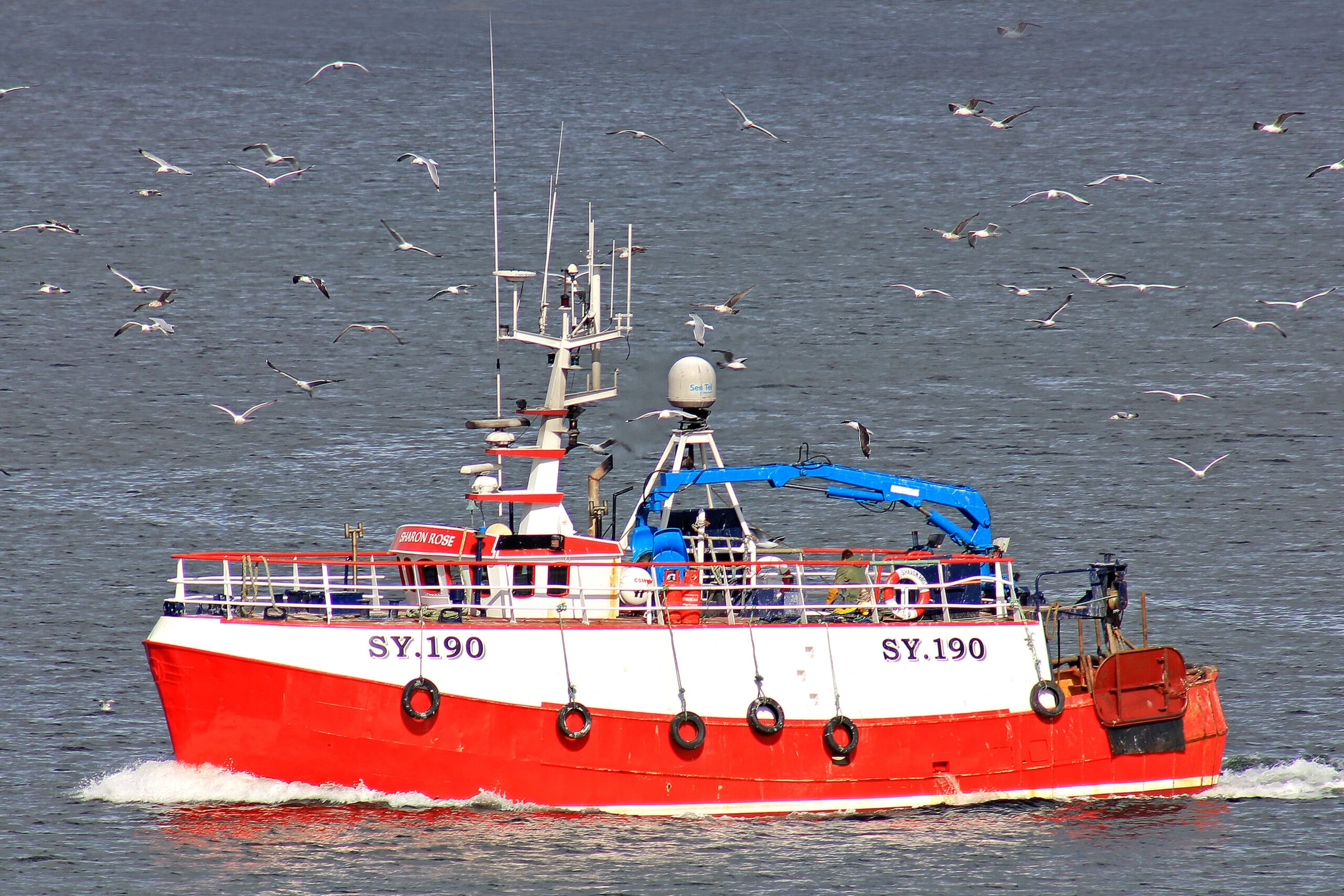 Boat of the Week: Sharon Rose SY 190 - Fishing News
