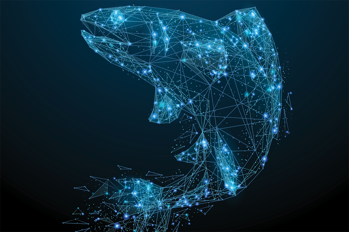 Call for ideas for funded research projects - Fishing News