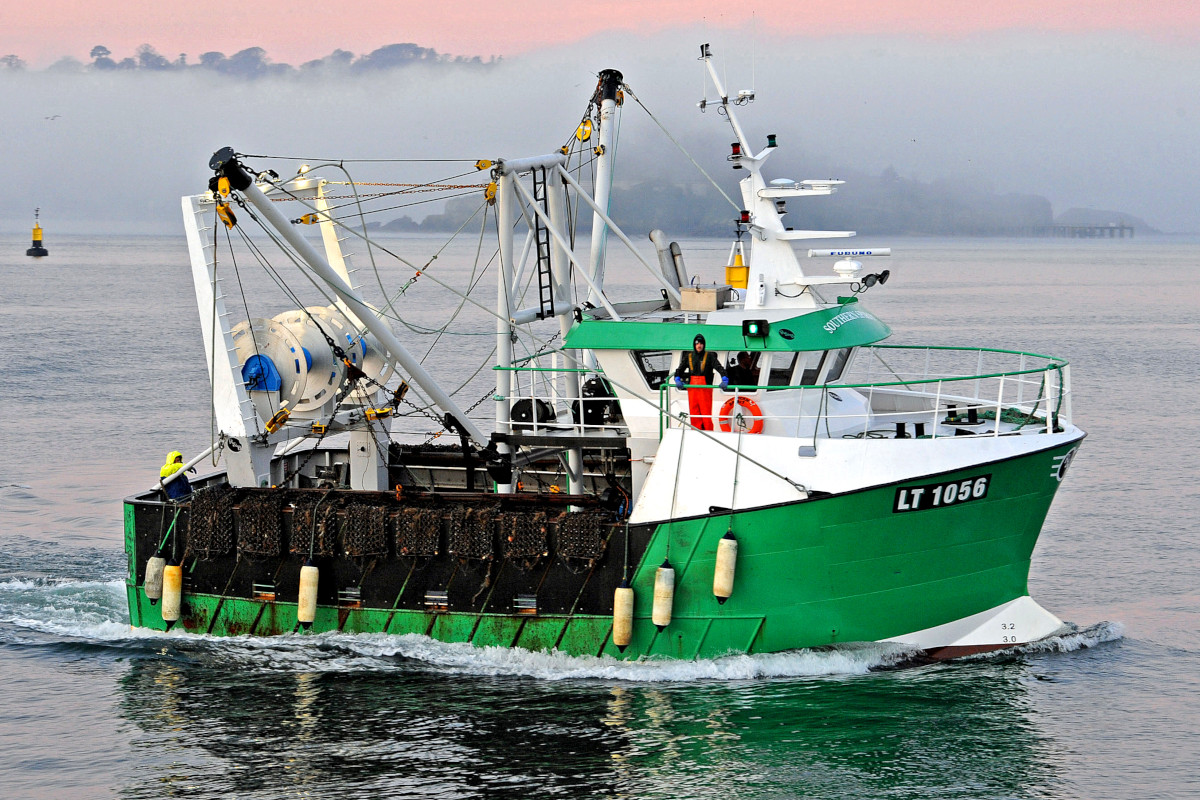 Southern Spirit: a profitable choice - Fishing News