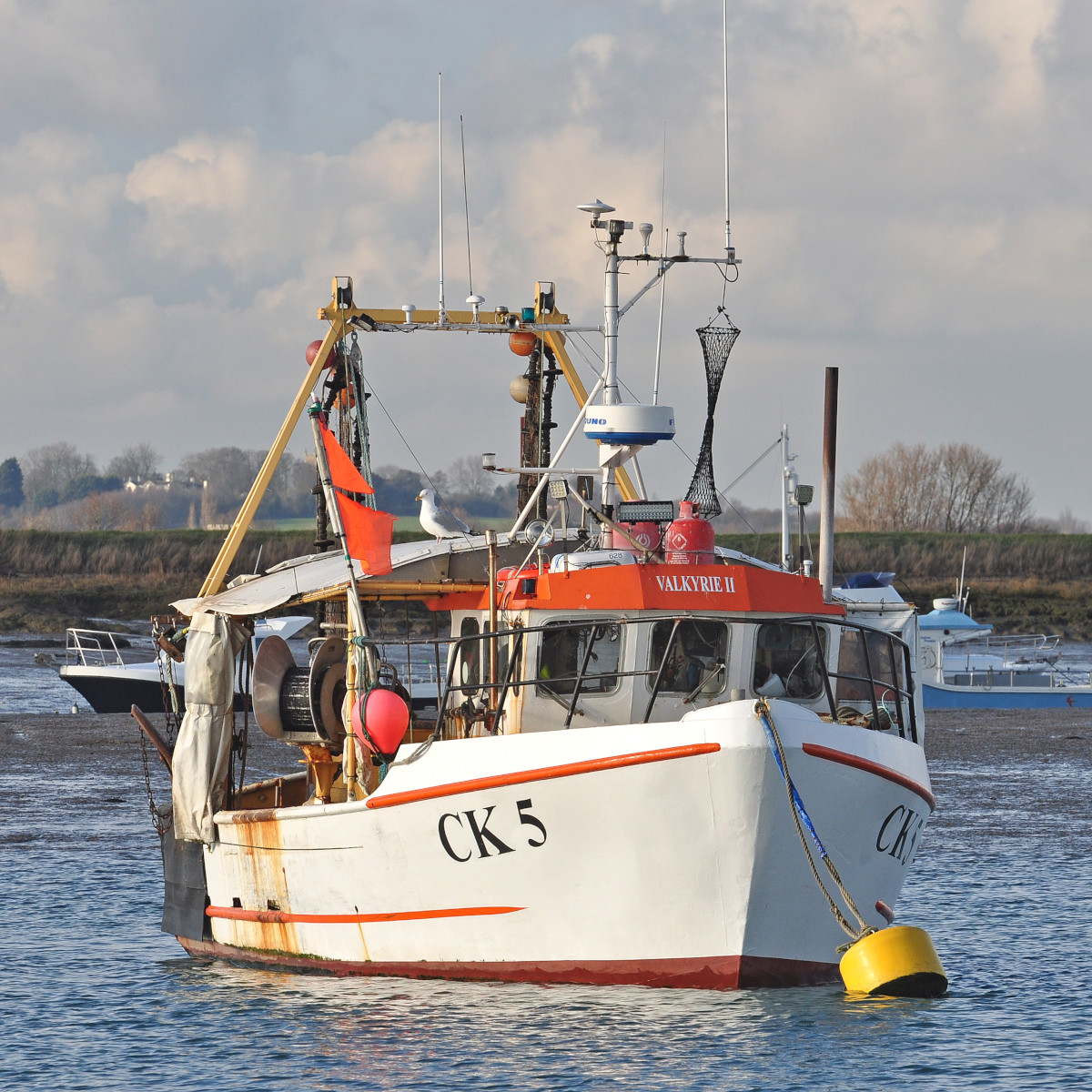 Valkyrie II and the single-ended spoils of war - Fishing News
