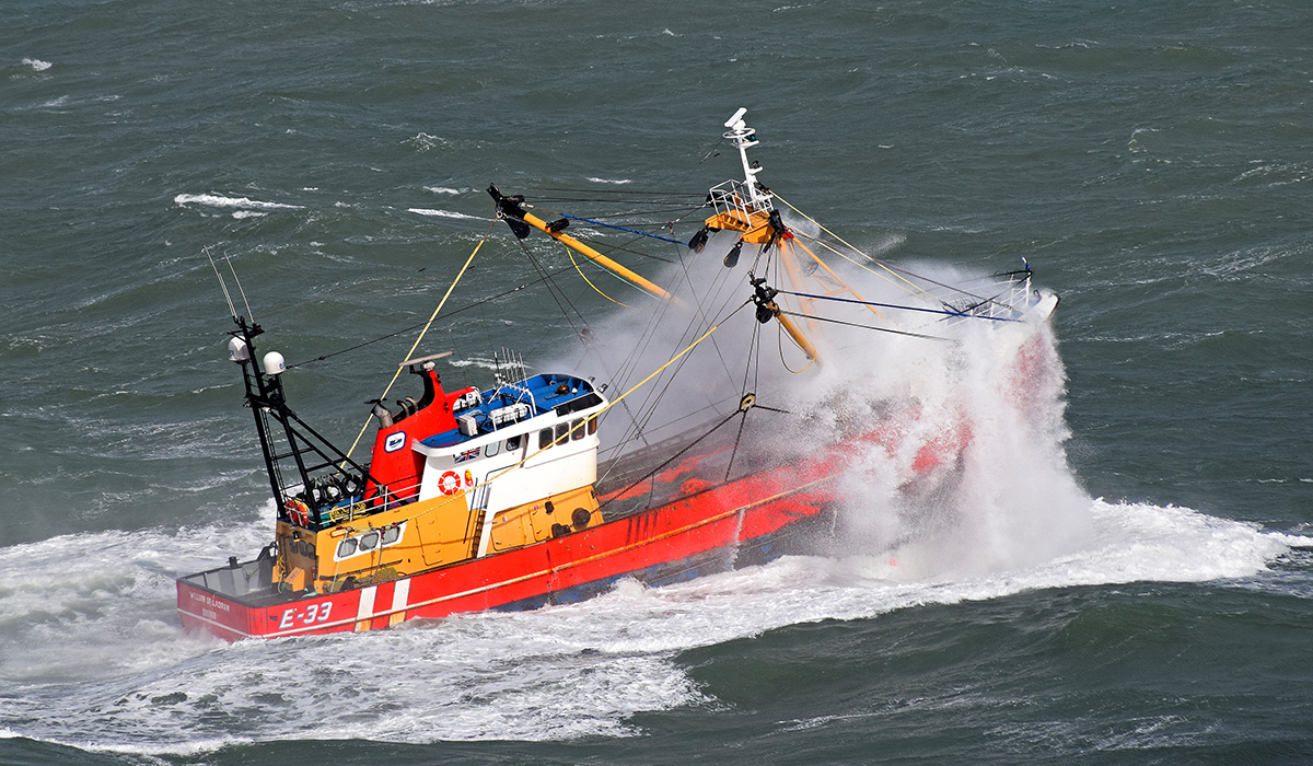 At sea on the Brixham beamer William of Ladram - Fishing News