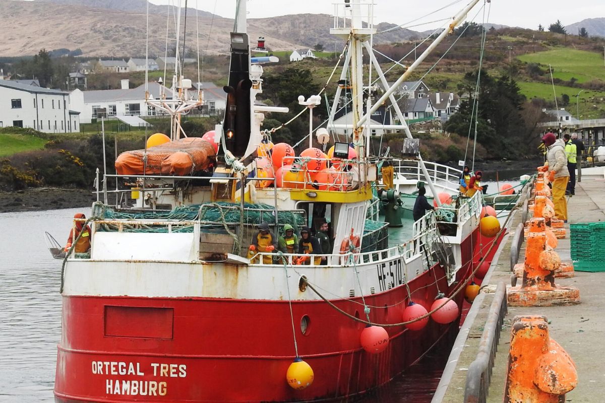 New call for action on gill-netters - Fishing News
